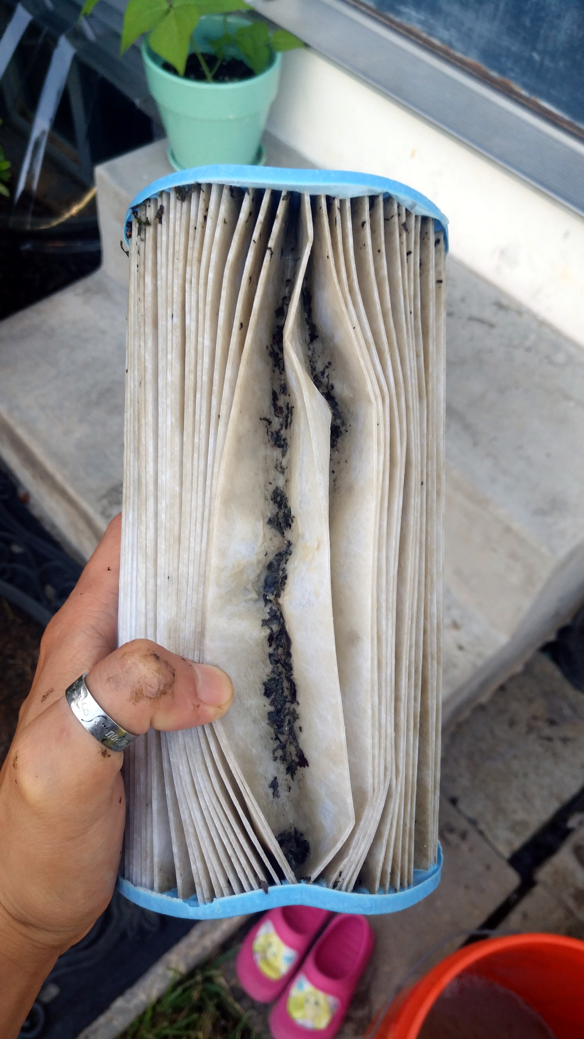 Above-ground Swimming Pool Guide for New Homeowners: How to clean this ...