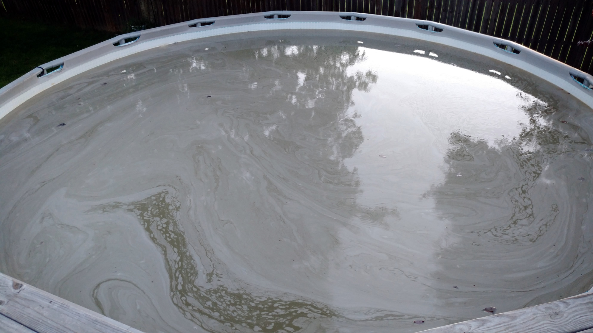 Above-ground Swimming Pool Guide for New Homeowners: How to clean this ...