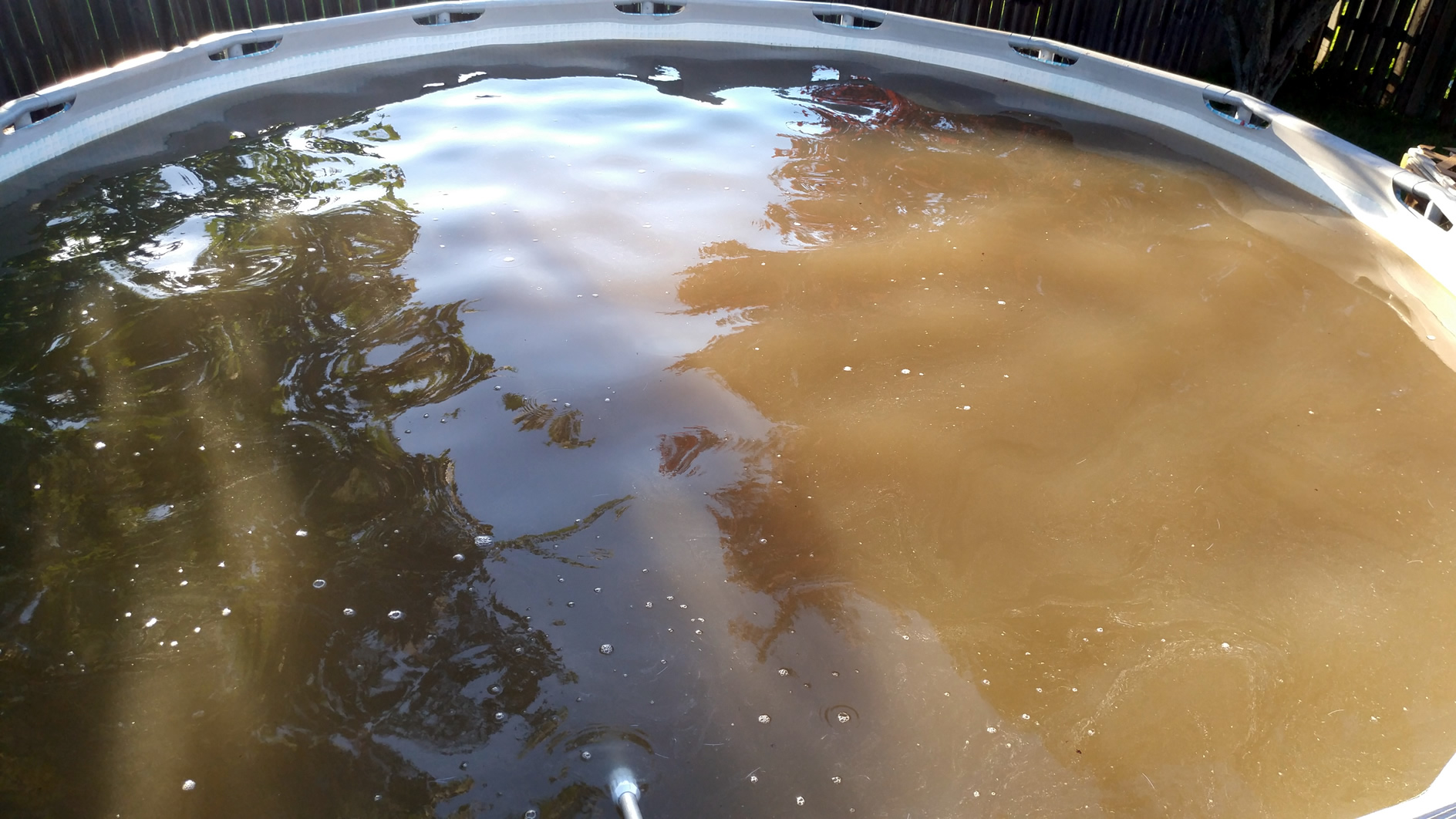 Above-ground Swimming Pool Guide for New Homeowners: How to clean this ...